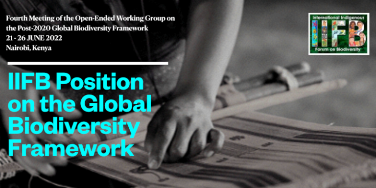 IIFB – International Indigenous Forum on Biodiversity