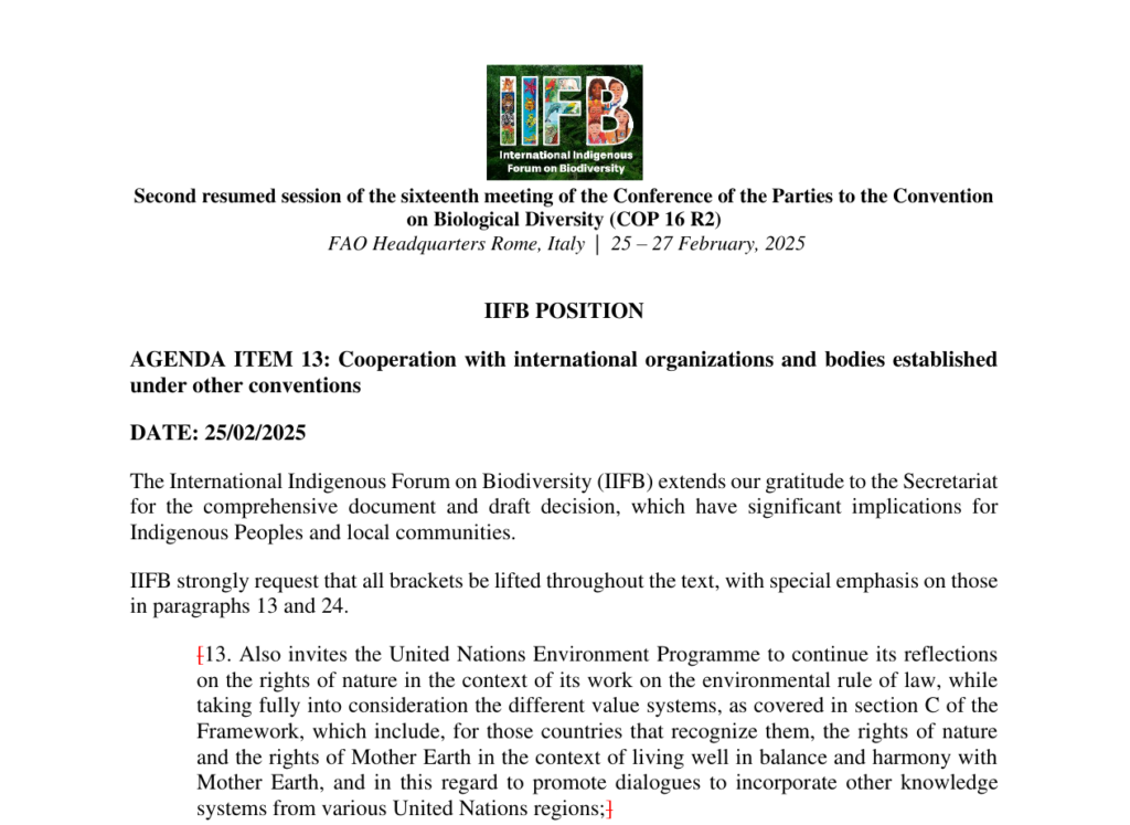 COP16 - IIFB